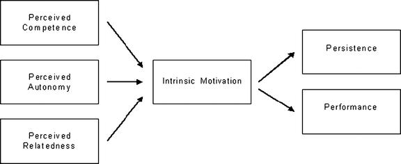 Testing the hierarchical SDT model: the case of performance-oriented ...