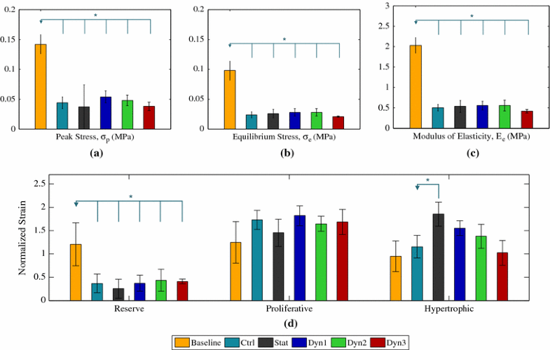 Growth plate cartilage shows different strain patterns in response to ...