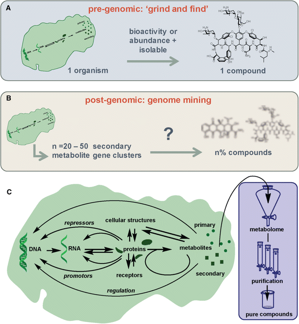 Microbial genome mining for accelerated natural products discovery: is ...