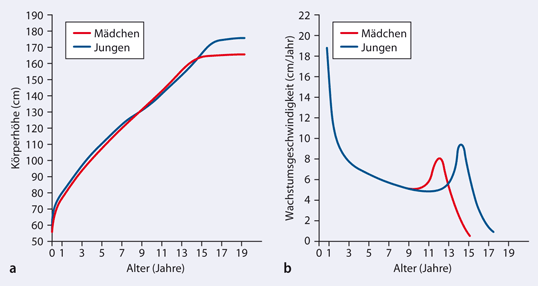 Hormonelle Steuerung des Größenwachstums | SpringerLink