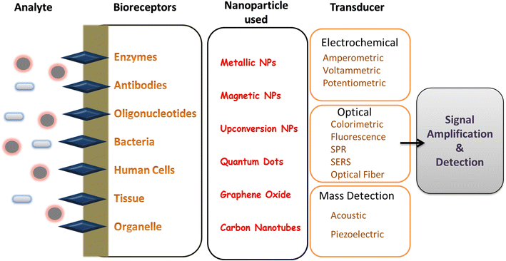 Nanosensors and nanobiosensors in food and agriculture | SpringerLink