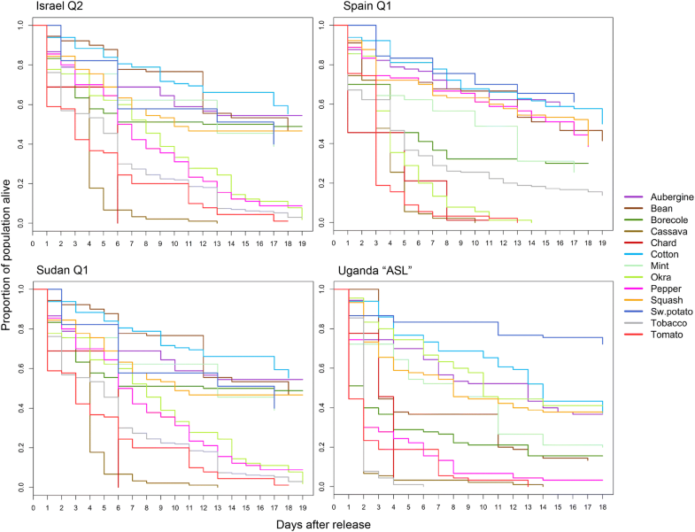 Relative polyphagy of “Mediterranean” cryptic Bemisia tabaci whitefly ...