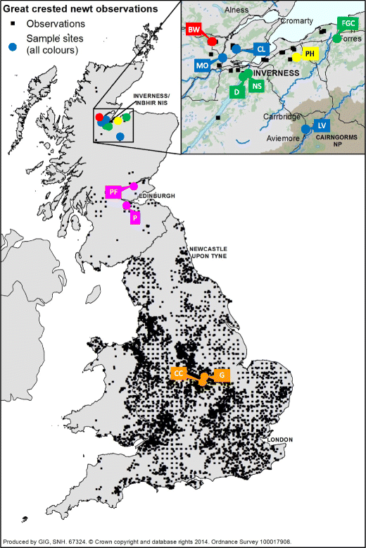 Extending the natural range of a declining species: genetic evidence ...
