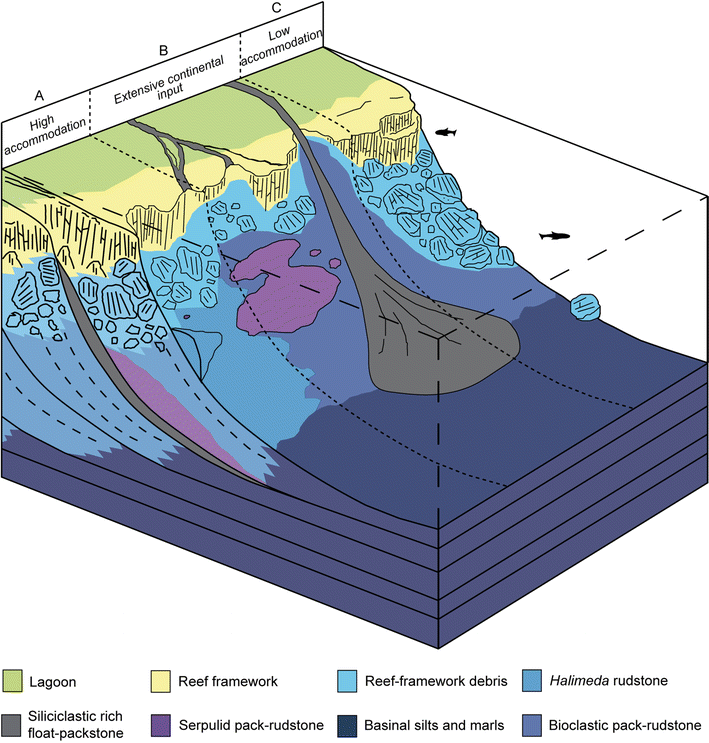 Facies variability in mixed carbonate–siliciclastic platform slopes ...