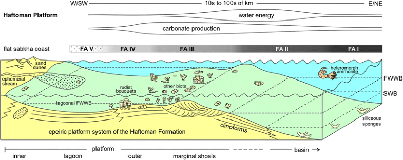 A Late Cretaceous epeiric carbonate platform: the Haftoman Formation of ...