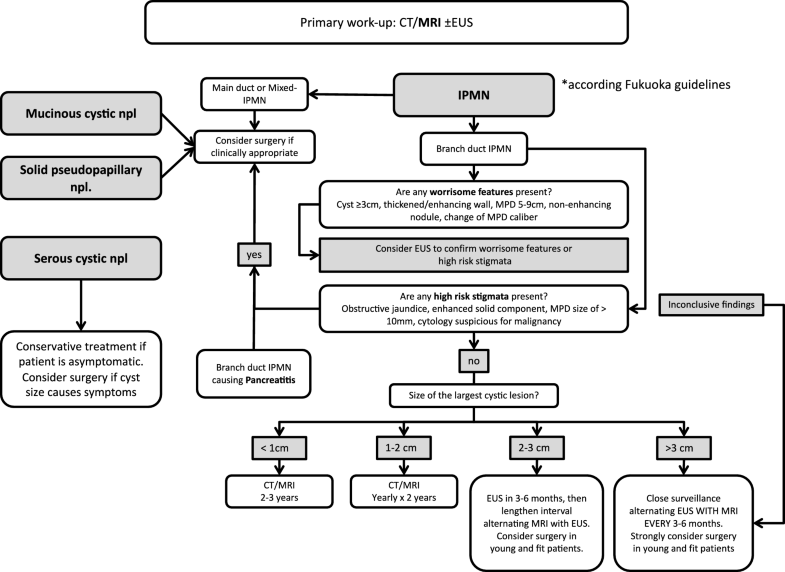 Management of cystic pancreatic lesions | SpringerLink