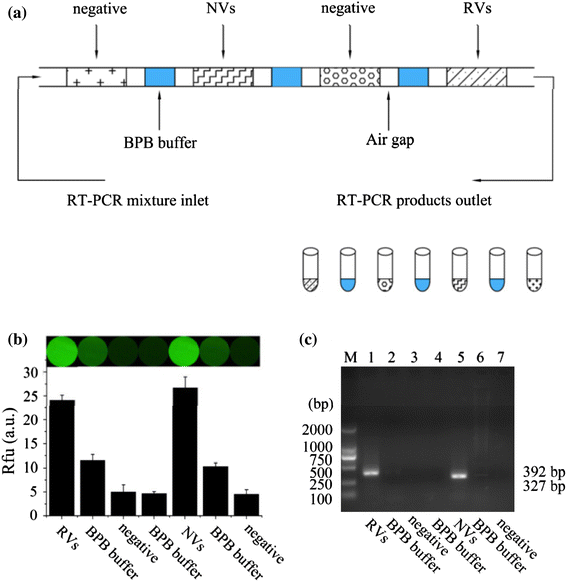 Fast identification of foodborne pathogenic viruses using continuous ...