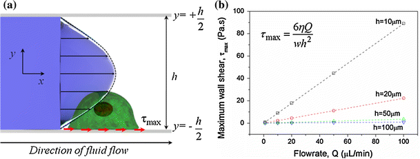 Engineering microfluidic concentration gradient generators for ...