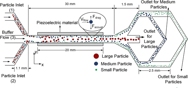 Numerical modeling of ultrasonic particle manipulation for microfluidic ...