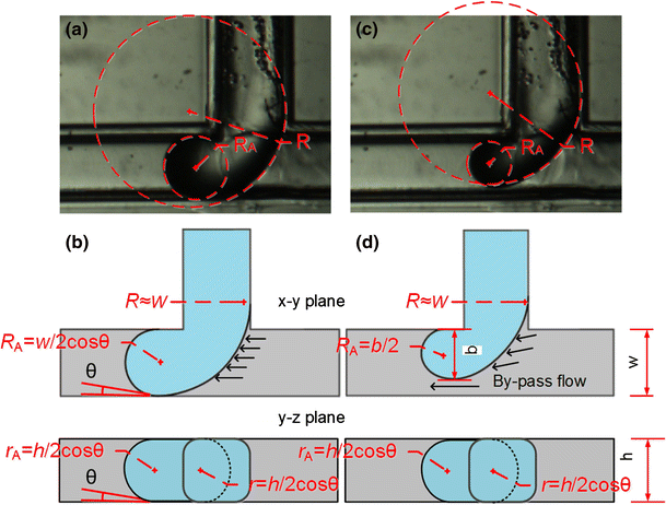 Pressure drop-based determination of dynamic interfacial tension of ...