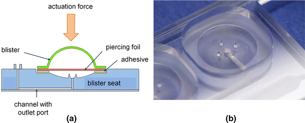 Blister pouches for effective reagent storage on microfluidic chips for ...