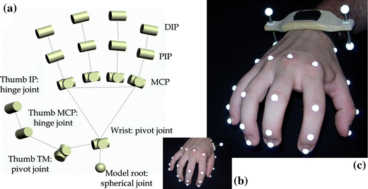 Finger Kinematic Modeling and Real-Time Hand Motion Estimation ...