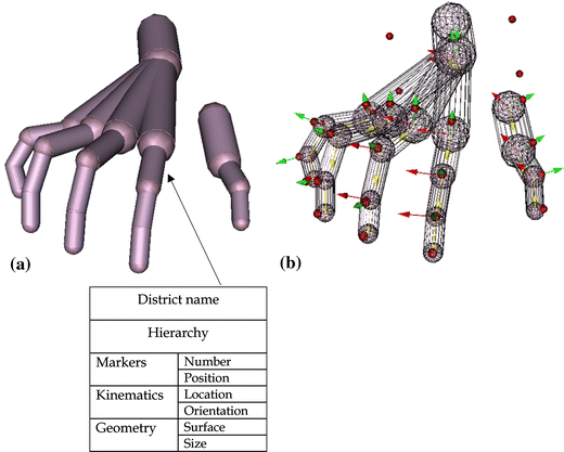 Finger Kinematic Modeling and Real-Time Hand Motion Estimation | SpringerLink