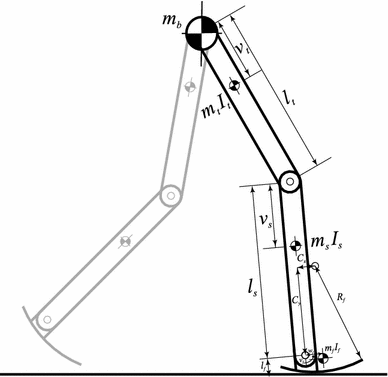 How Crouch Gait Can Dynamically Induce Stiff-Knee Gait | SpringerLink