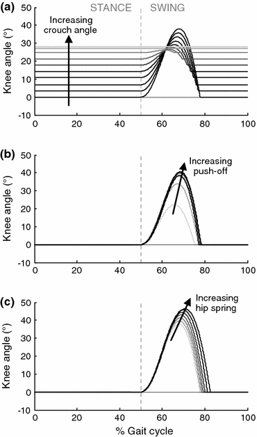 How Crouch Gait Can Dynamically Induce Stiff-Knee Gait | SpringerLink