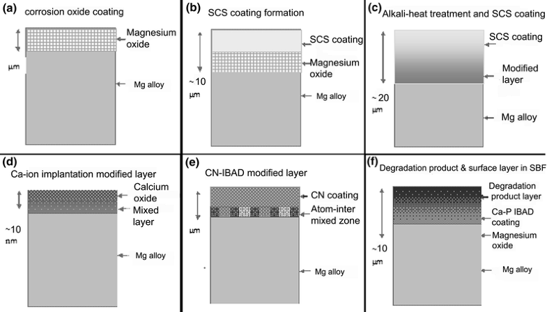 Surface Modifications of Magnesium Alloys for Biomedical Applications ...