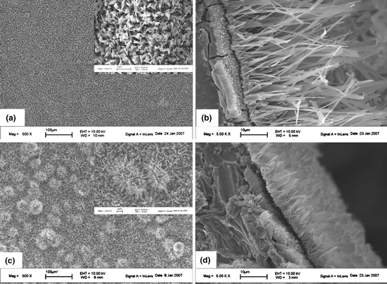 Surface Modifications of Magnesium Alloys for Biomedical Applications ...