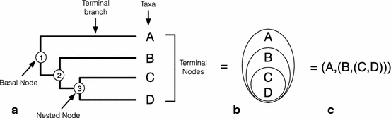 From Correlation to Causation: What Do We Need in the Historical ...