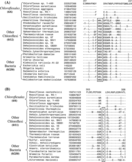 Phylogenetic framework and molecular signatures for the class ...
