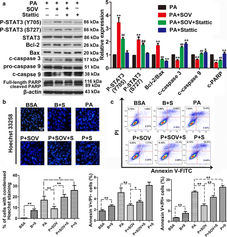 Sodium orthovanadate suppresses palmitate-induced cardiomyocyte ...