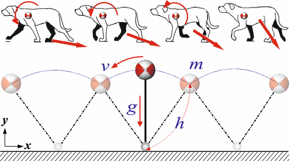 Biologically inspired gait transition control for a quadruped walking robot | SpringerLink