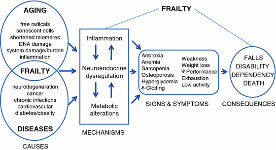 Aging, frailty and age-related diseases | Springer for Research ...