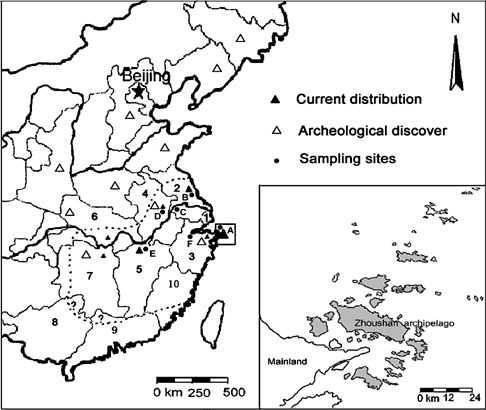 Genetic Diversity of Chinese Water Deer ( Hydropotes inermis inermis ...