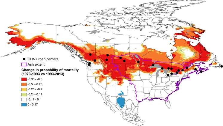 Probability of emerald ash borer impact for Canadian cities and North ...