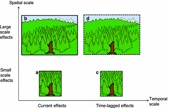 Spatial and temporal scales relevant for conservation of dead-wood ...