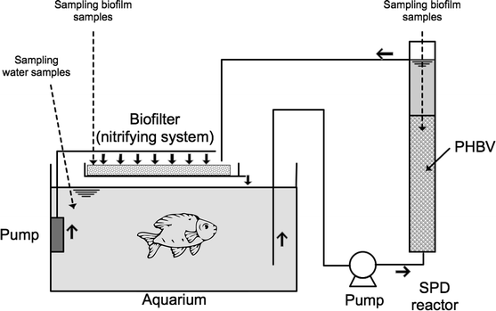 Effects of solid-phase denitrification on the nitrate removal and ...