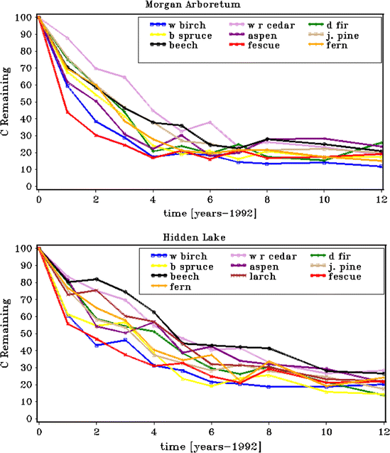 Litter decomposition: what controls it and how can we alter it to ...