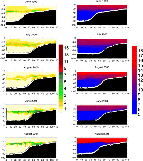 The contribution of the deep chlorophyll maximum to primary production ...