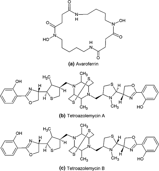 An overview of siderophores for iron acquisition in microorganisms ...