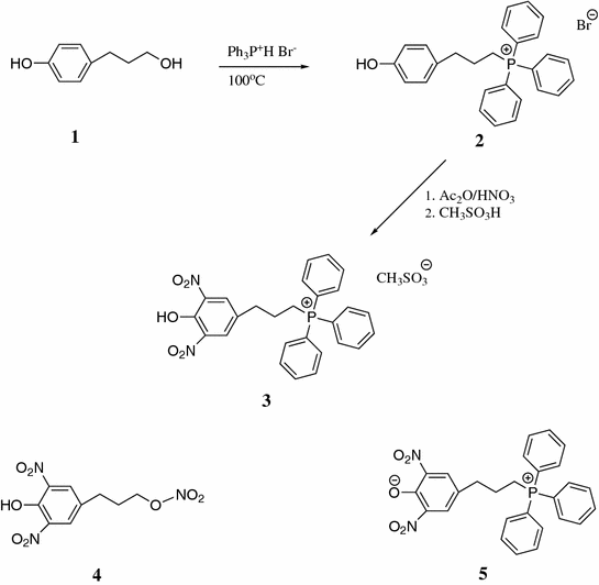 Targeting Dinitrophenol to Mitochondria: Limitations to the Development ...
