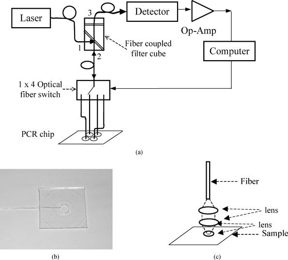 Miniature real time PCR on chip with multi-channel fiber optical ...