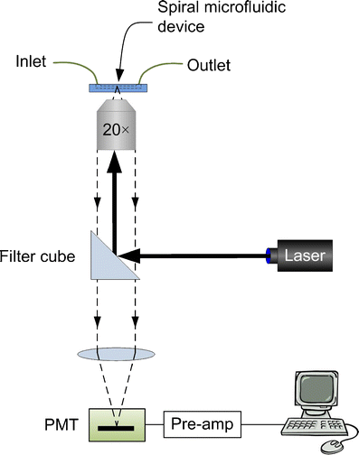 Inertial microfluidics for sheath-less high-throughput flow cytometry ...