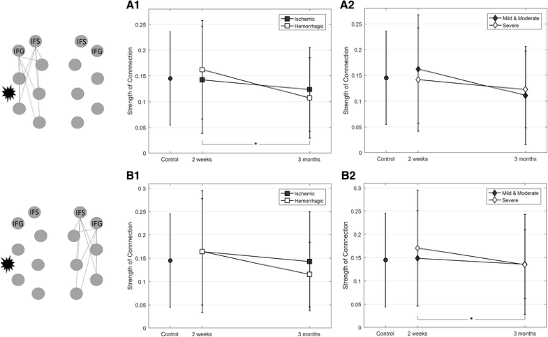 Alteration and Role of Interhemispheric and Intrahemispheric ...