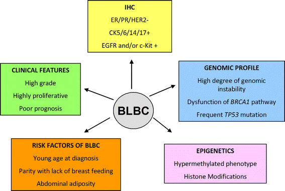 Molecular insights on basal-like breast cancer | SpringerLink