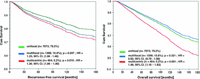 Comparing the outcome between multicentric and multifocal breast cancer ...