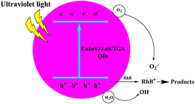 CuInS2/ZnS/TGA Nanocomposite Photocatalysts: Synthesis ...