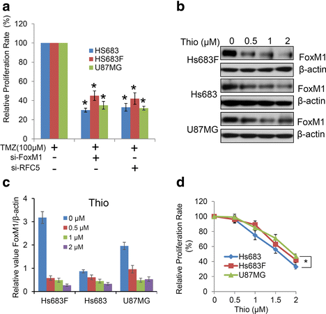FoxM1-mediated RFC5 expression promotes temozolomide resistance ...