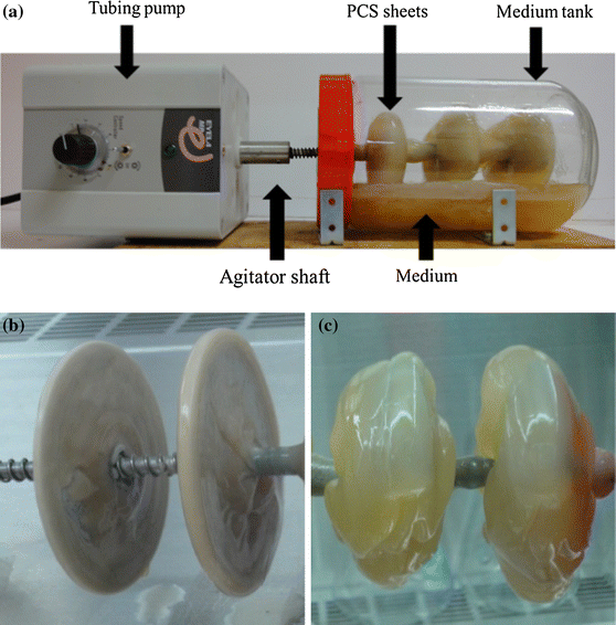 Semi-continuous bacterial cellulose production in a rotating disk ...
