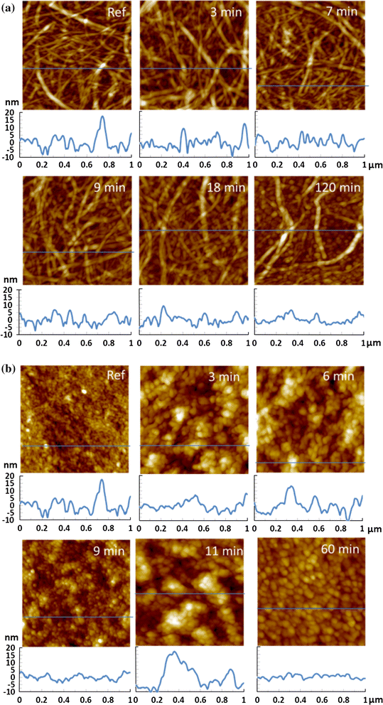 TEMPO oxidized cellulose thin films analysed by QCM-D and AFM ...