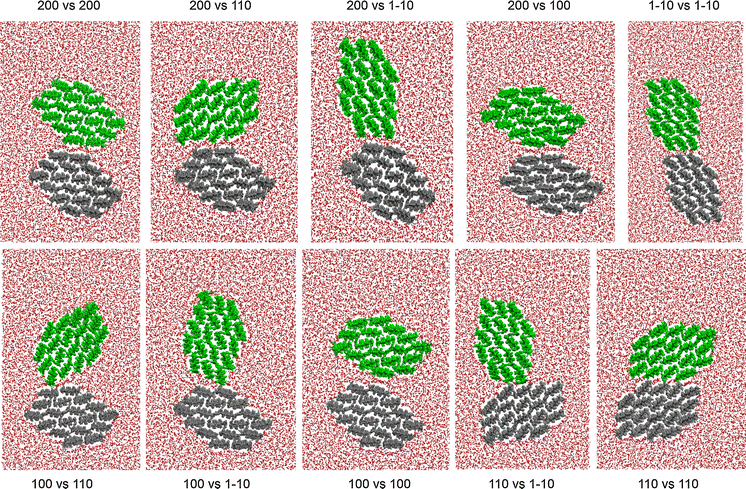 Gaining insight into cell wall cellulose macrofibril organisation by ...