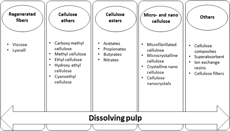 Recent trends and developments in dissolving pulp production and ...
