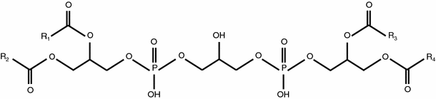 Cardiolipin in Central Nervous System Physiology and Pathology ...