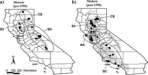 Genetic evidence for the persistence of the critically endangered ...