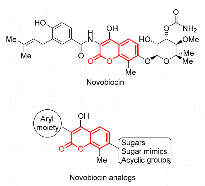 Synthesis and bioactivity of novel coumarin derivatives | SpringerLink