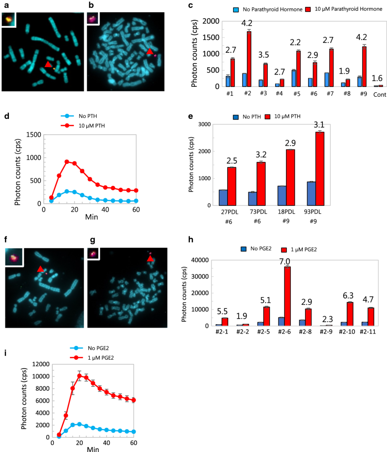 A luciferase complementation assay system using transferable mouse ...