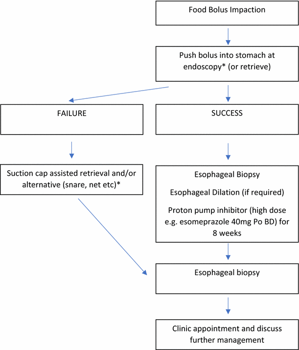 Food Bolus Impaction in the Era of Increased EoE Recognition: Push and ...